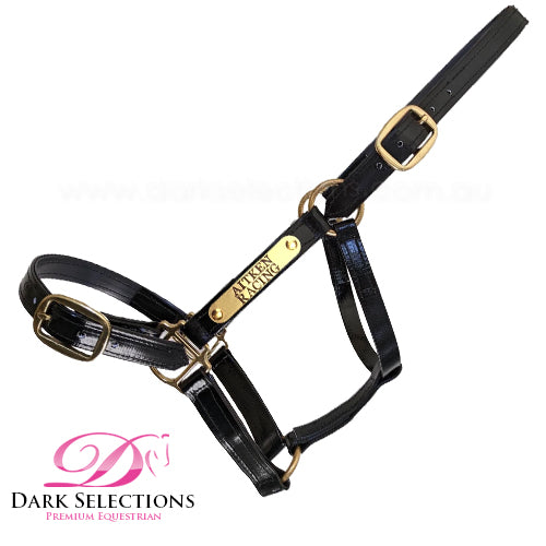 PVC Halter + Silver Engraved Name Plate - Dark Selections